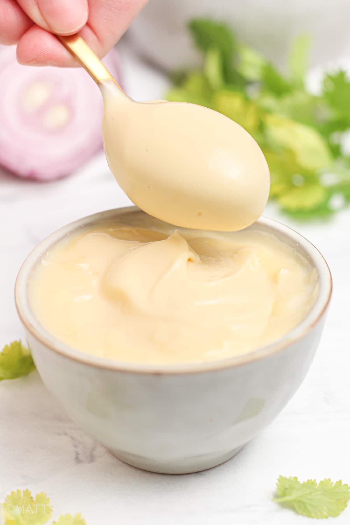 2 Minute Healthy Mayonnaise {High Protein}