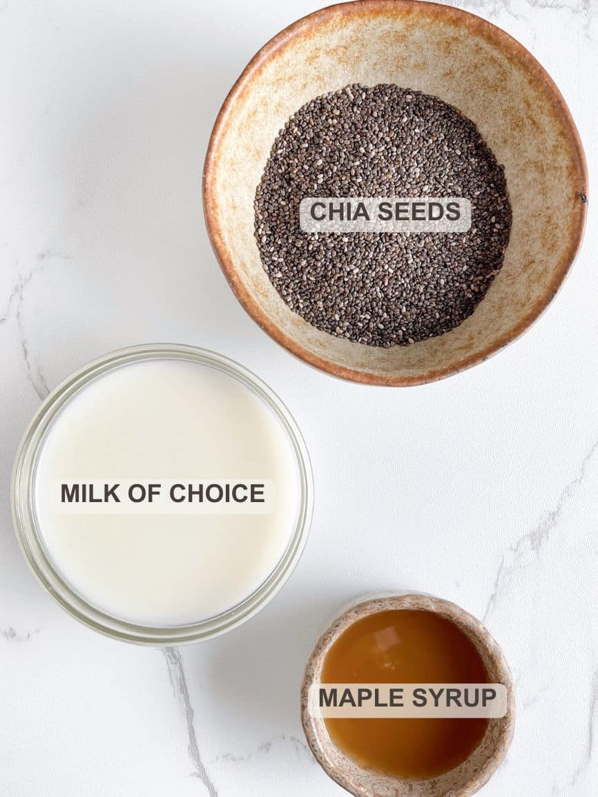 Chia Seed Pudding Recipe {2 Ingredients}
